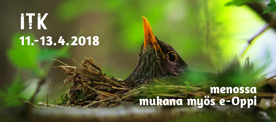 E Oppi Oy Oppimisen Edelläkävijä